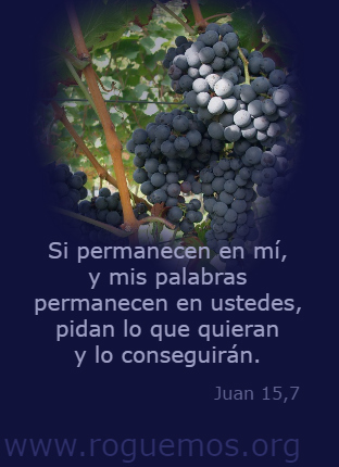 Juan 15,1-8 - pidan lo que quieran - Roguemos al Señor