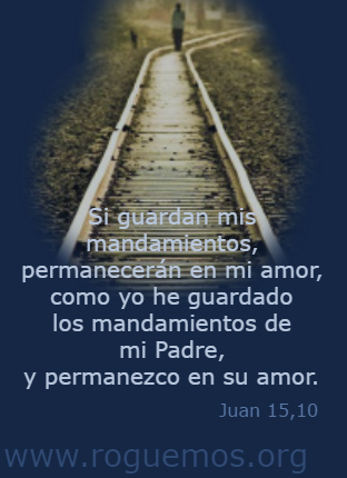 Juan 15,9-11 - permanecerán en mi amor - Roguemos al Señor