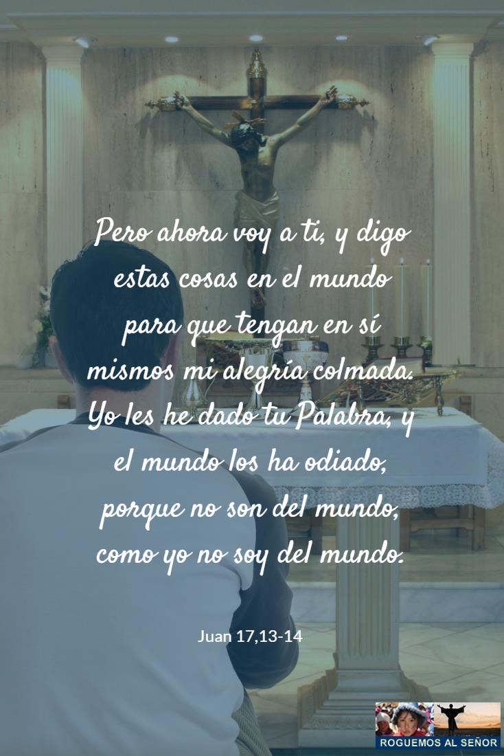 Juan 17,11b-19 – No son del mundo - Roguemos al Señor