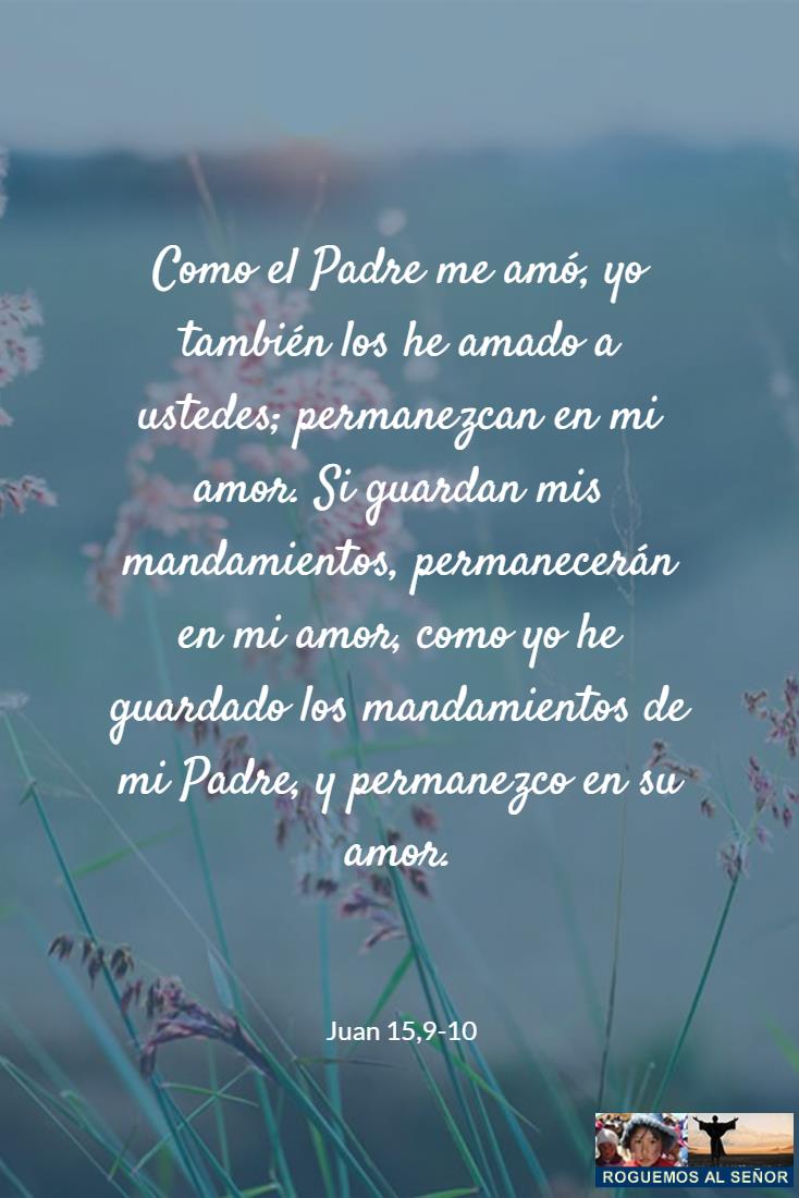 Juan 15,9-17 – Permanezcan en mi amor - Roguemos al Señor