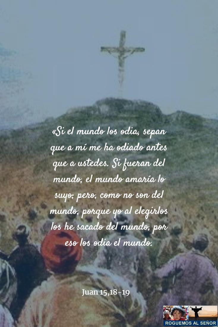 Juan 15,18-21 – Al elegirlos los he sacado del mundo - Roguemos al Señor