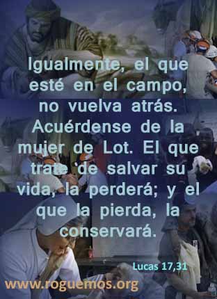 Lucas 17,26-37 - El que trate de salvar su vida - Roguemos al Señor