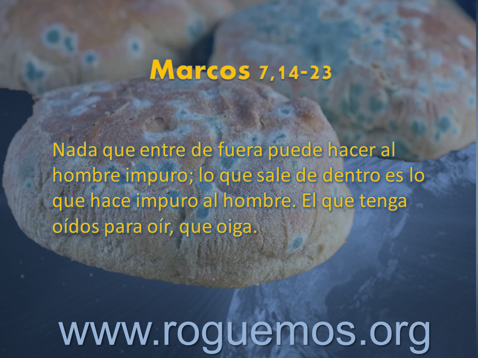 Marcos 7,14-23 – lo que hace impuro al hombre - Roguemos al Señor