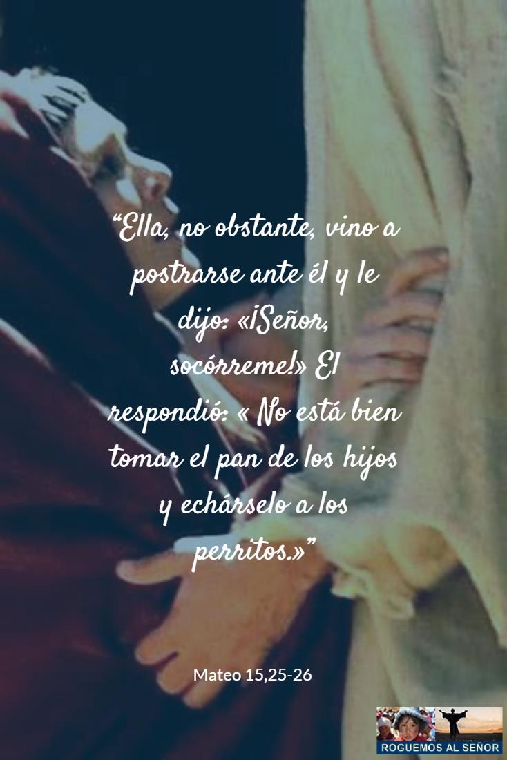 el pan de los hijos - Mateo 15,21-28 - Roguemos al Señor