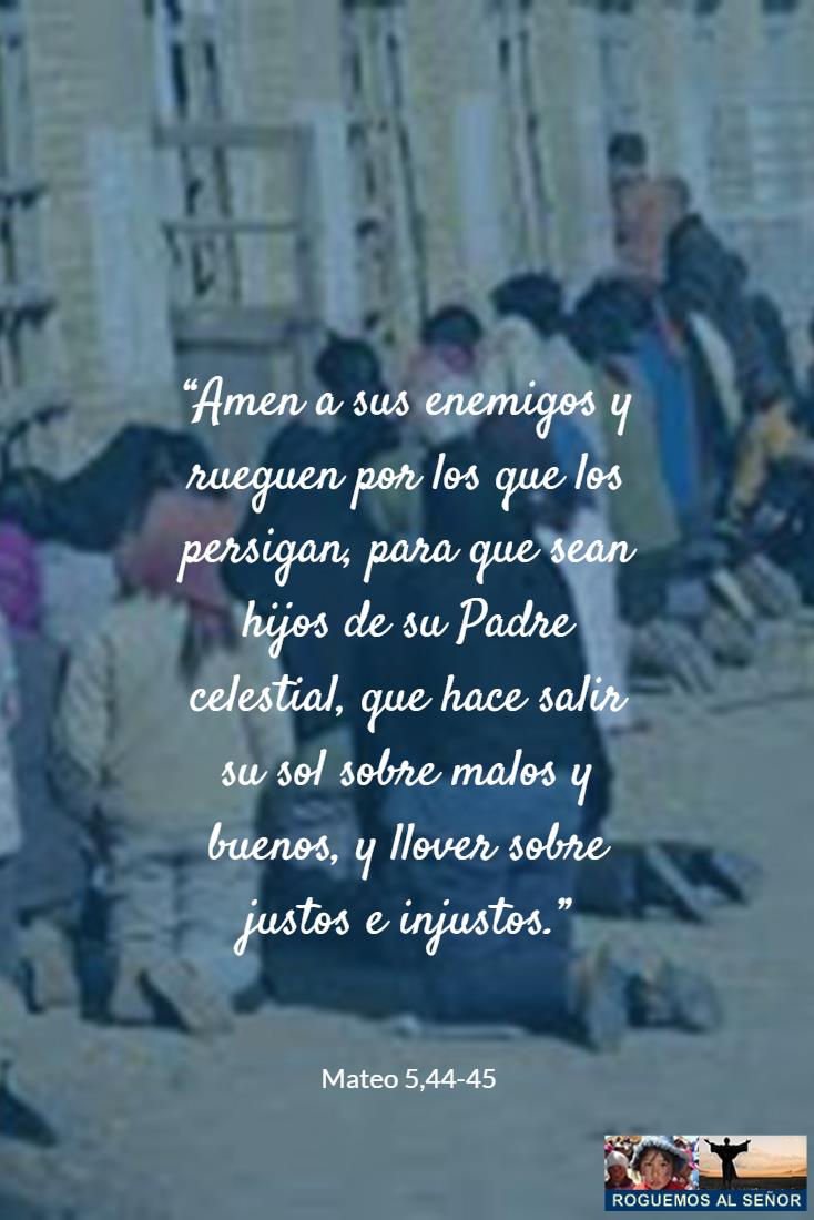 Mateo 5,43-48 – rueguen por los que los persigan - Roguemos al Señor