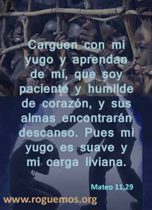Mateo 11,25-30 - sus almas encontrarán descanso - Roguemos al Señor
