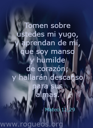 Mateo 11,28-30 - hallarán descanso para sus almas - Roguemos al Señor