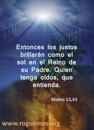 Mateo 13,36-43 - brillarán como el sol - Roguemos al Señor