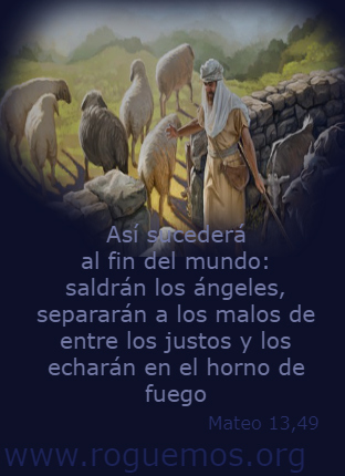 Mateo 13,47-53 - separarán a los malos de entre los justos - Roguemos ...