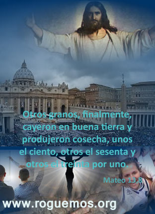 Mateo 13,1-9 - cayeron en buena tierra y produjeron cosecha - Roguemos ...