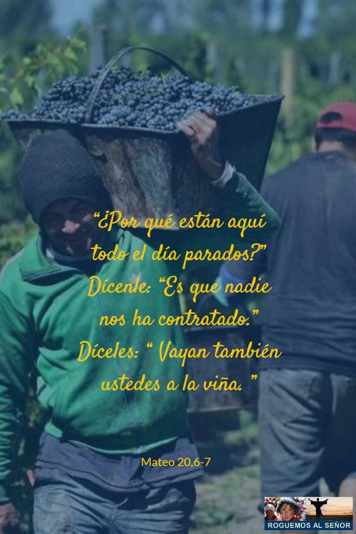 Vayan también ustedes a la viña - Mateo 20,1-16 - Roguemos al Señor